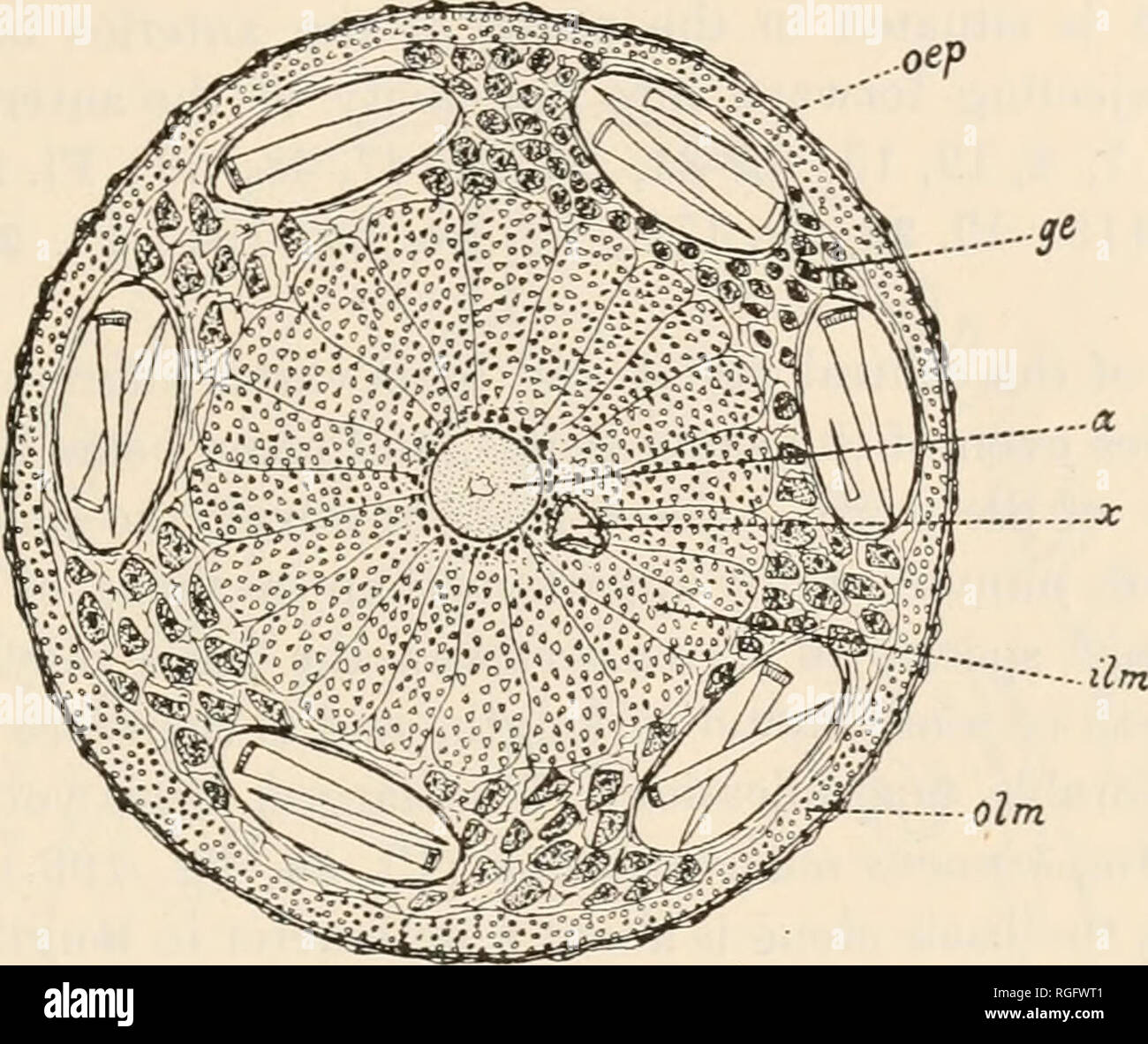 Outer cir hi-res stock photography and images - Alamy