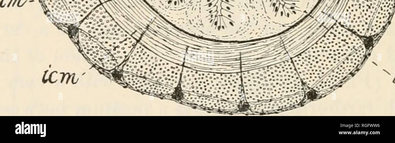 Two sory hi-res stock photography and images - Alamy