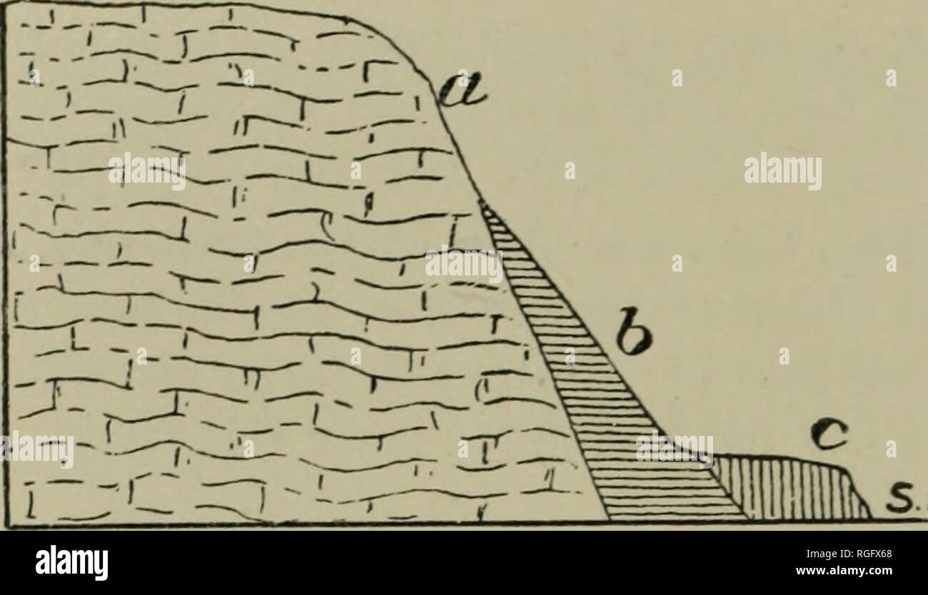 . Bulletin of the Museum of Comparative Zoology at Harvard College ...