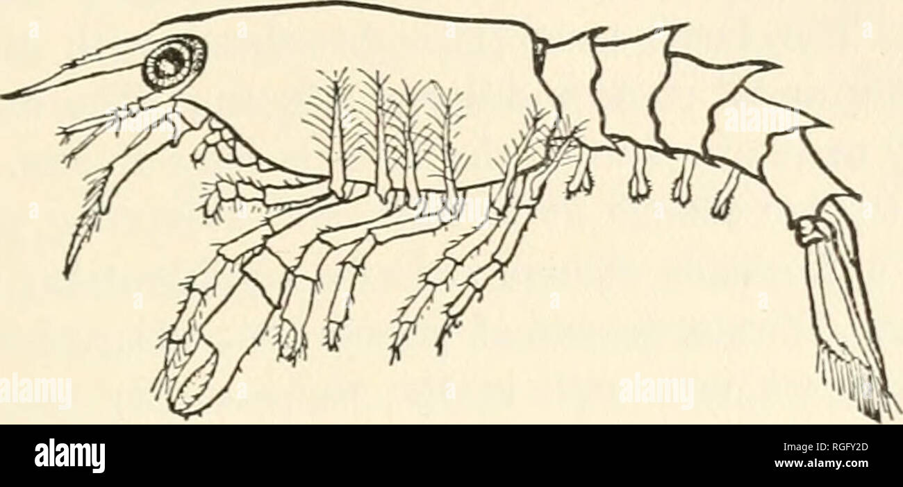 Stable lateral position hi-res stock photography and images - Alamy