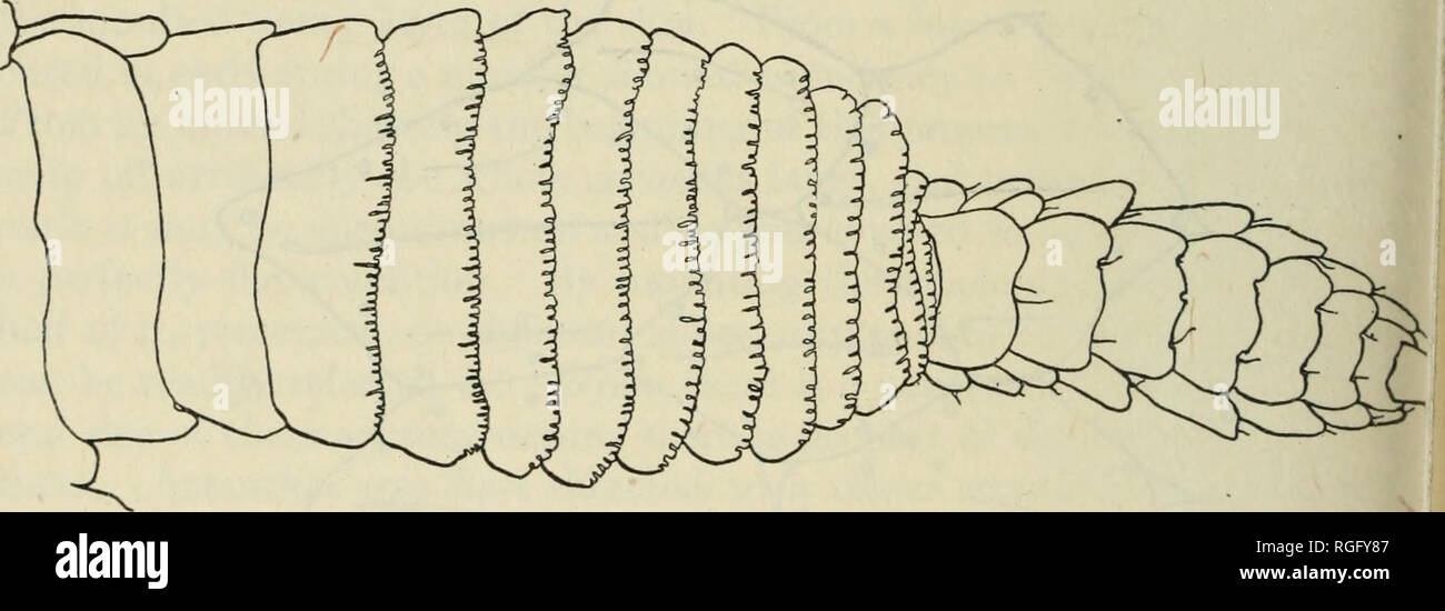 . Bulletin of the Museum of Comparative Zoology at Harvard College ...