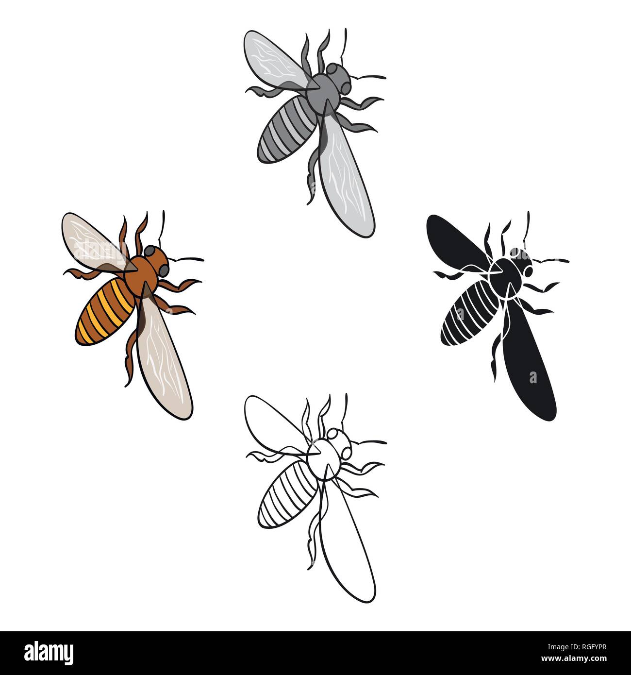 animal,apis,arthropod,bee,cartoon,flying,hymenoptera,icon,illustration ...