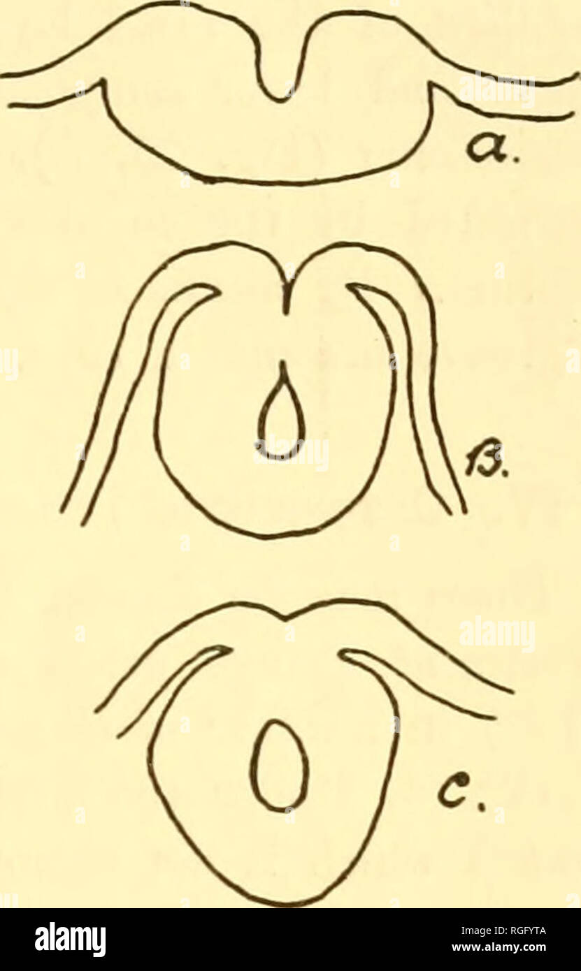 Crescence hi-res stock photography and images - Alamy