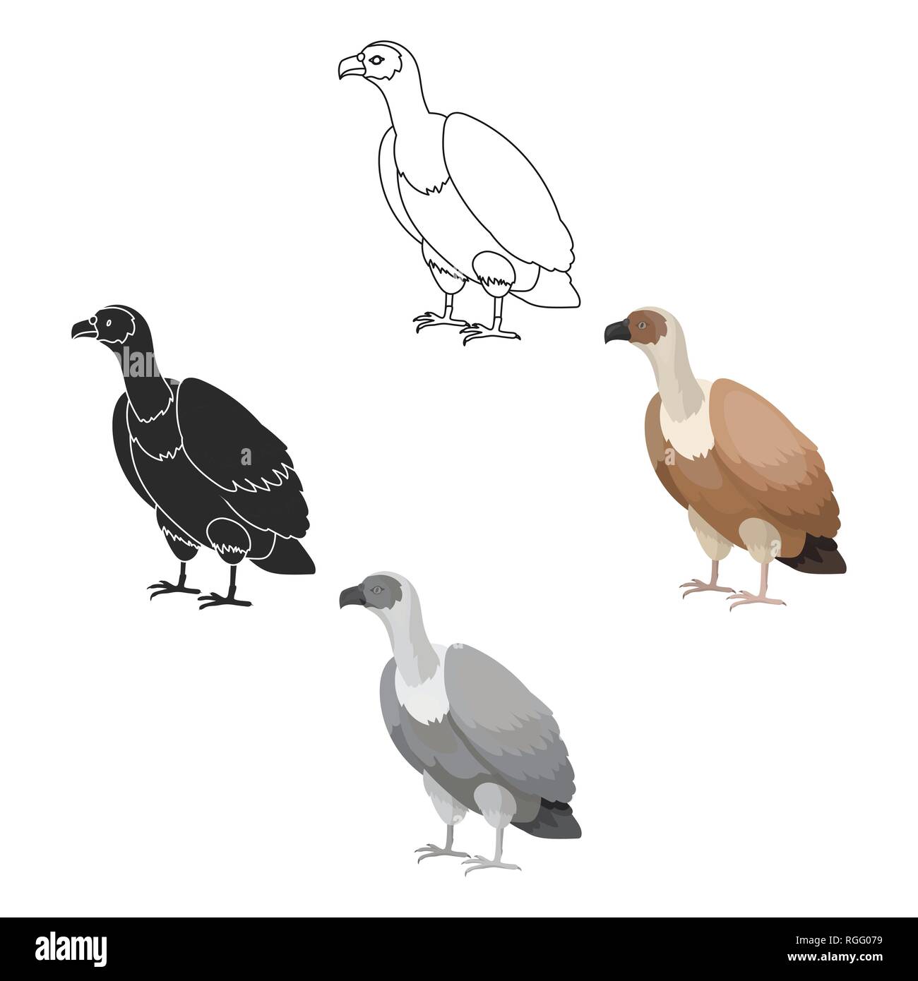 Scavenger Animals Drawing