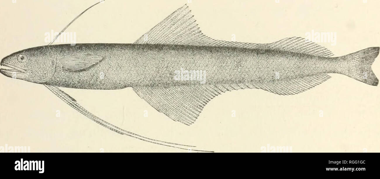 500 fathoms hi-res stock photography and images - Alamy
