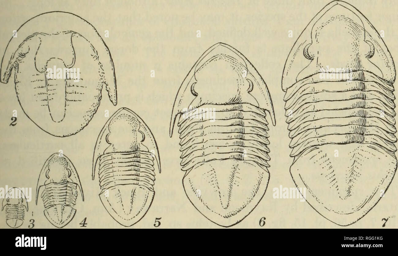 . Bulletin of the Museum of Comparative Zoology at Harvard College ...