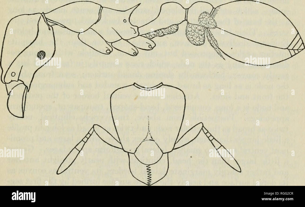 . Bulletin of the Museum of Comparative Zoology at Harvard College ...