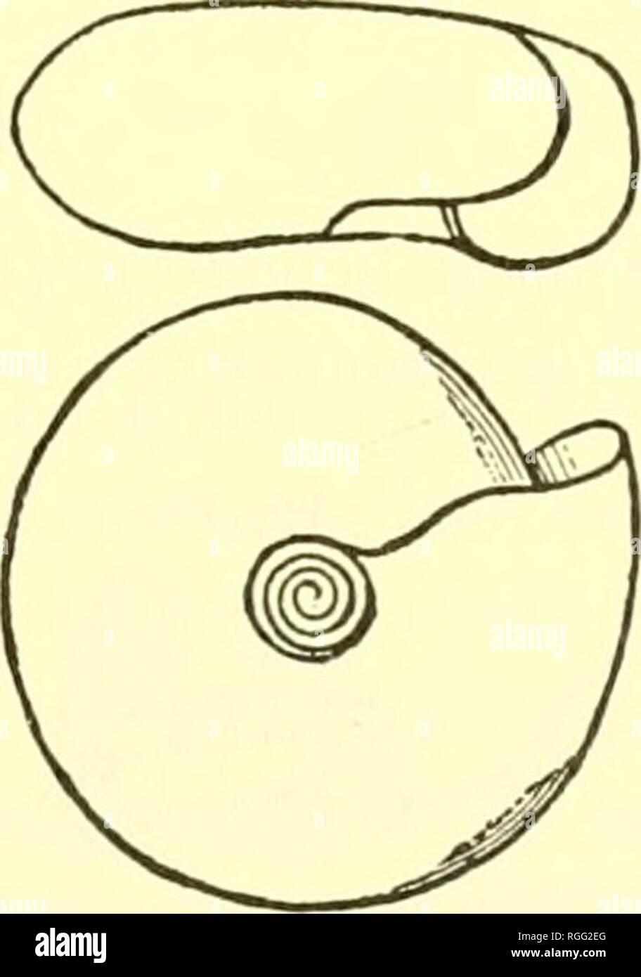 Asymmetrical bases hi-res stock photography and images - Alamy