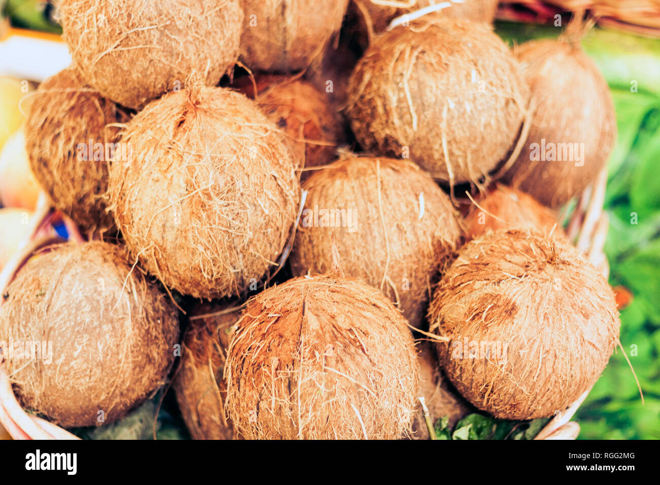 fresh coconuts in the fruit market, Catania, Sicily, Italy Stock Photo ...