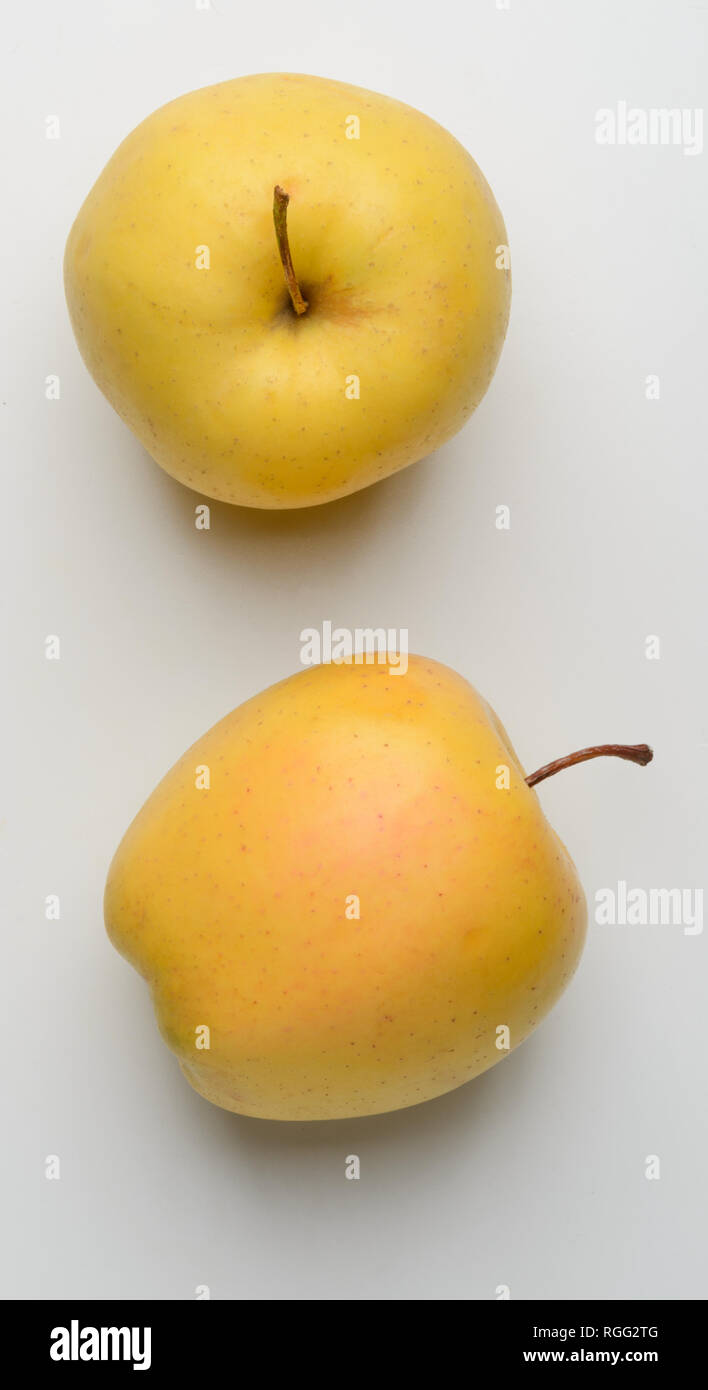 Two yellow apples hi-res stock photography and images - Alamy
