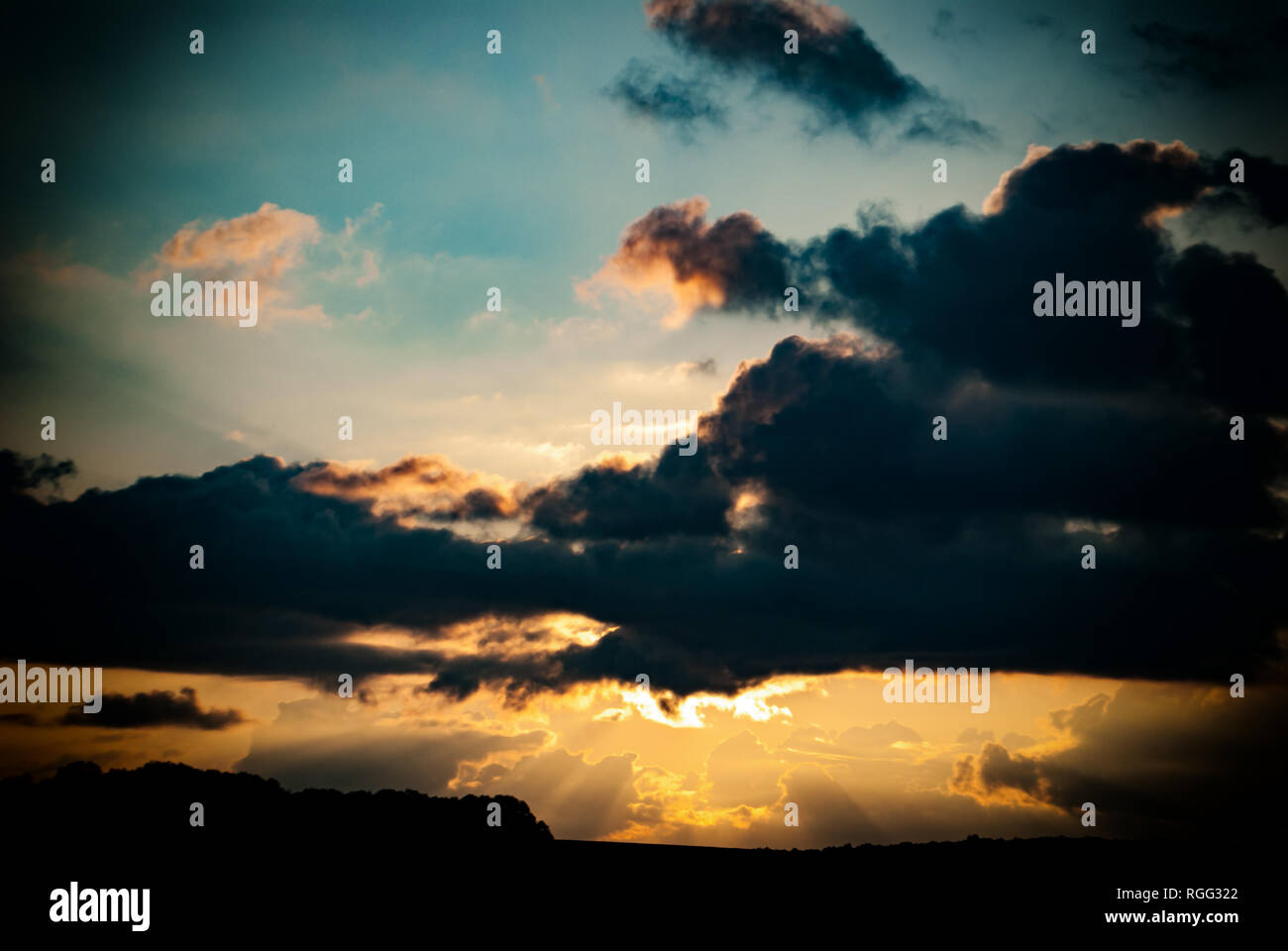 Primordial ecology hi-res stock photography and images - Alamy