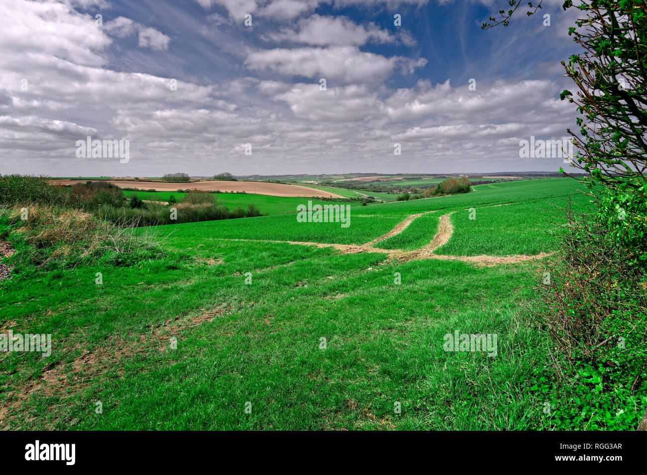 Salisbury Plain Wiltshire an area of chalk downland used for arable ...