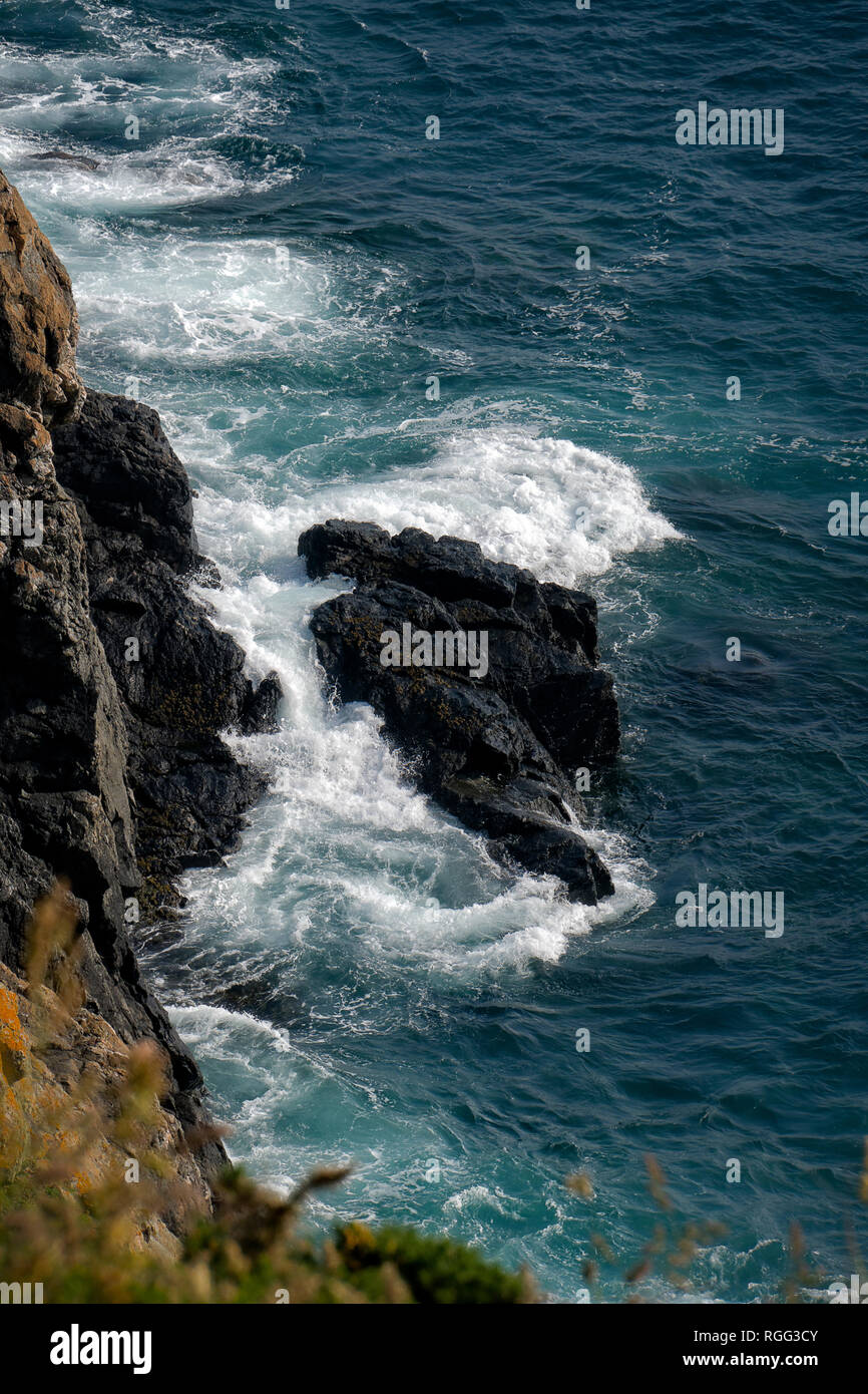 White background guernsey hi-res stock photography and images - Alamy
