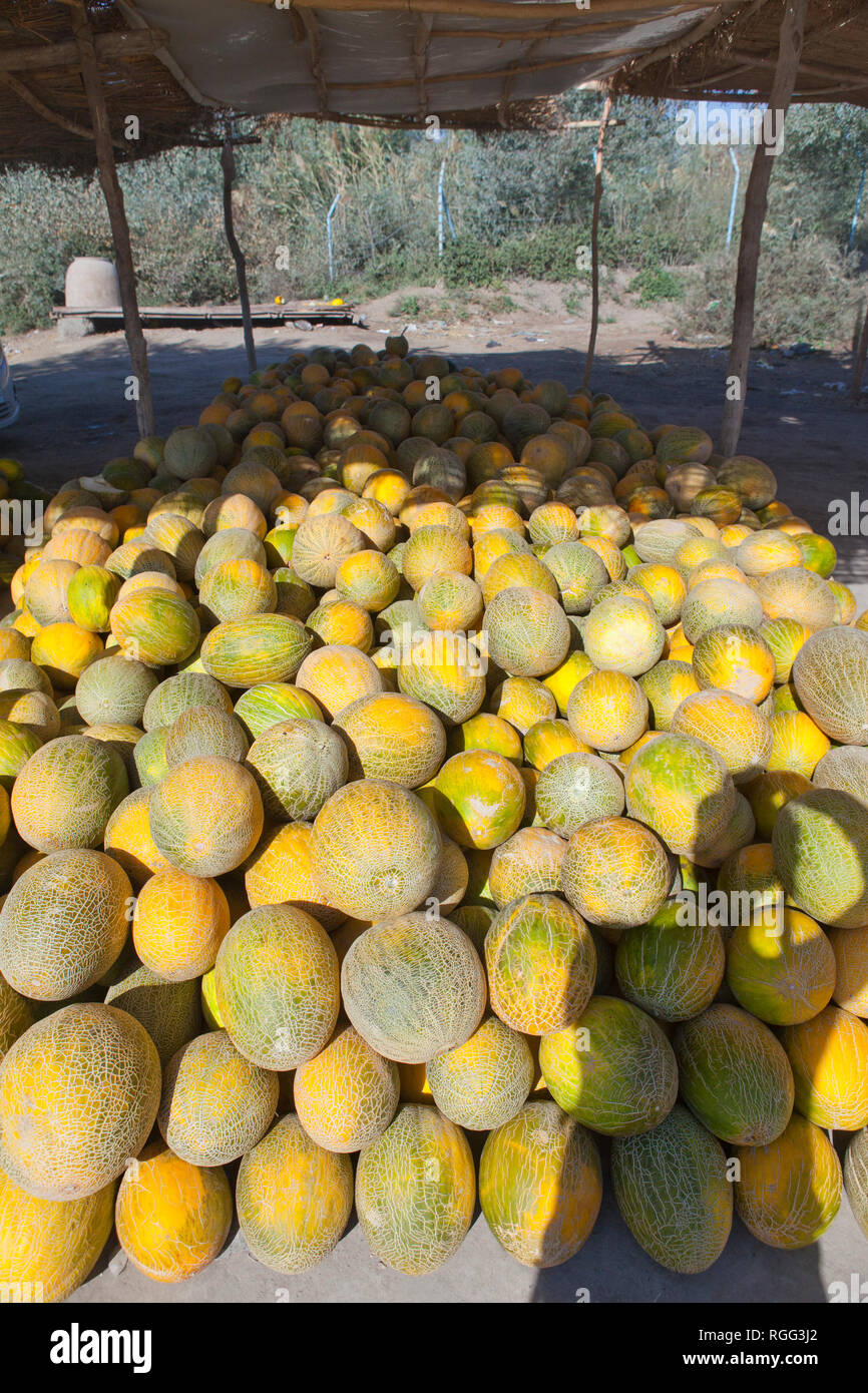 Uzbekistan melon hi-res stock photography and images - Alamy