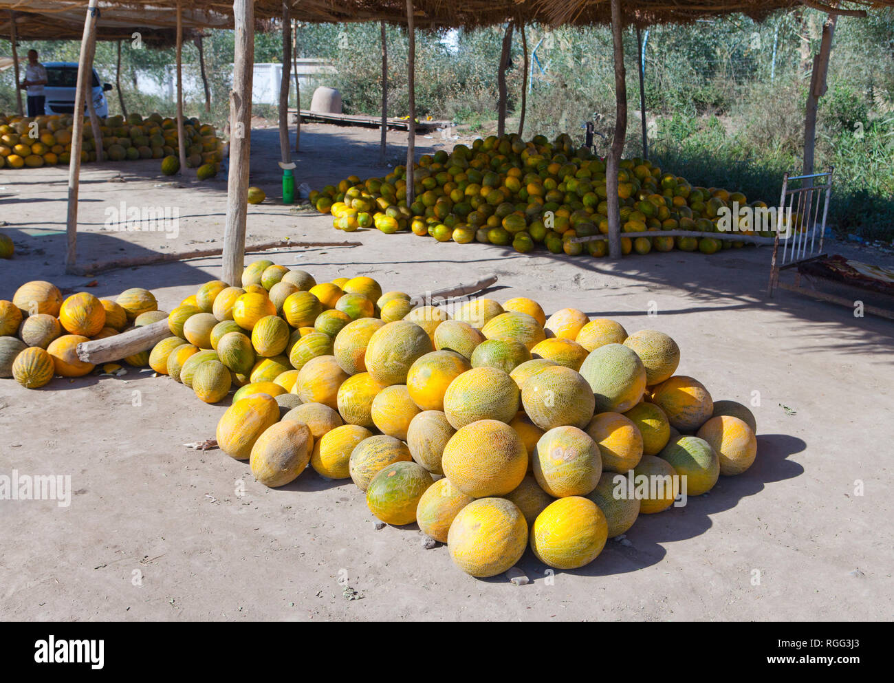 Uzbekistan market melon hi-res stock photography and images - Alamy