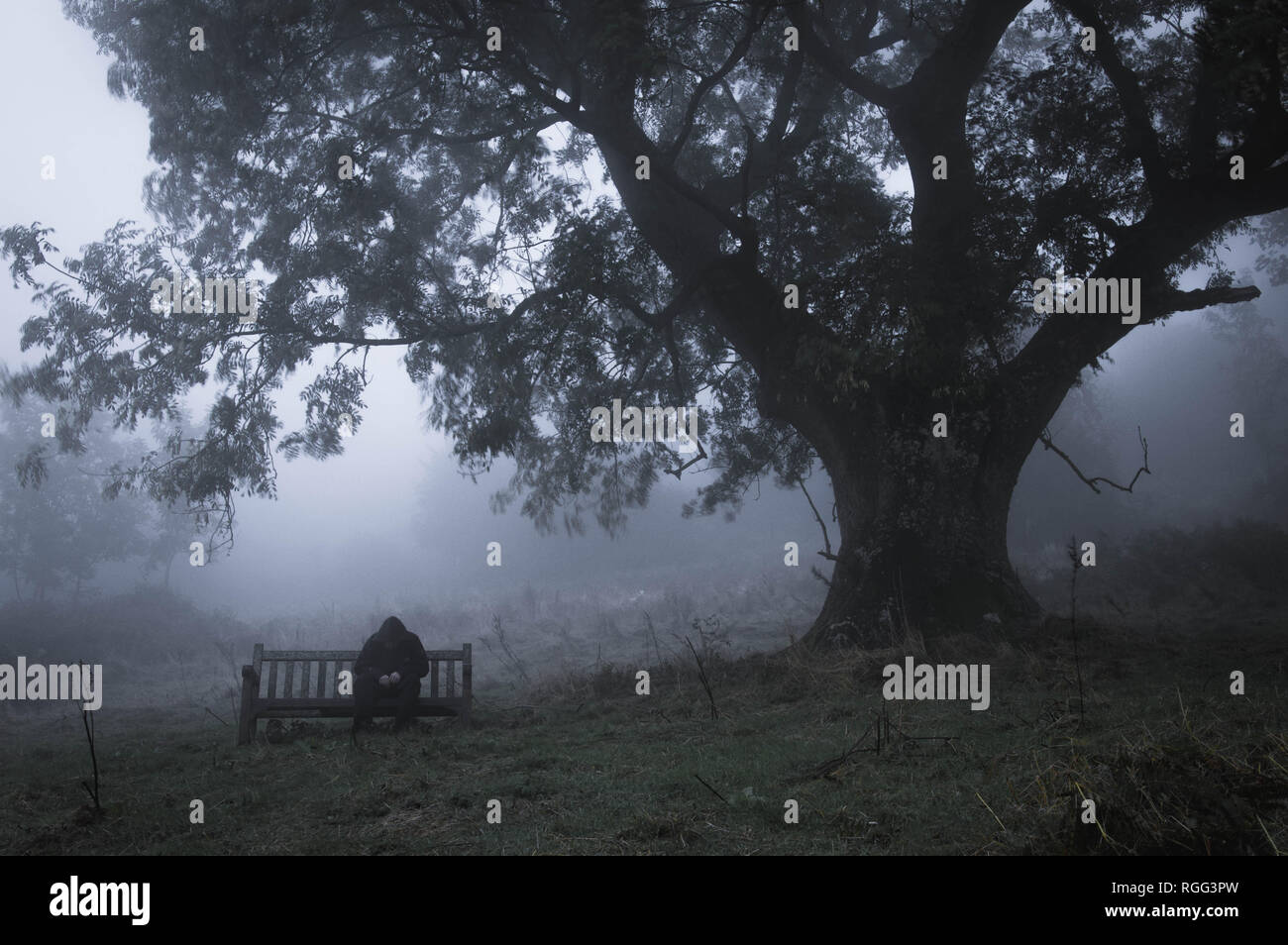 A hooded man sitting on a bench in the countryside on a foggy, moody ...