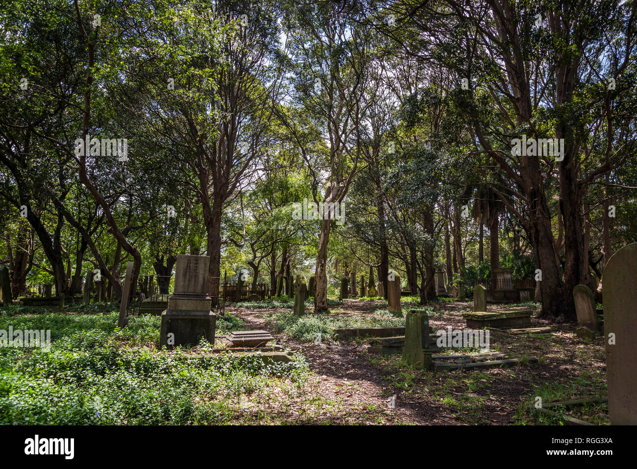Camperdown Cemetery, a historic cemetery located on Church Street in ...