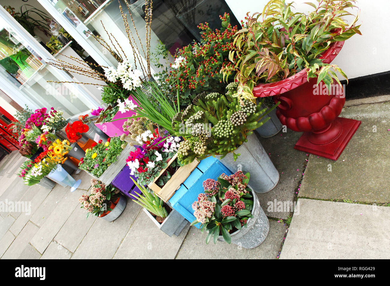 Flowers outside a flower shop, London Stock Photo - Alamy