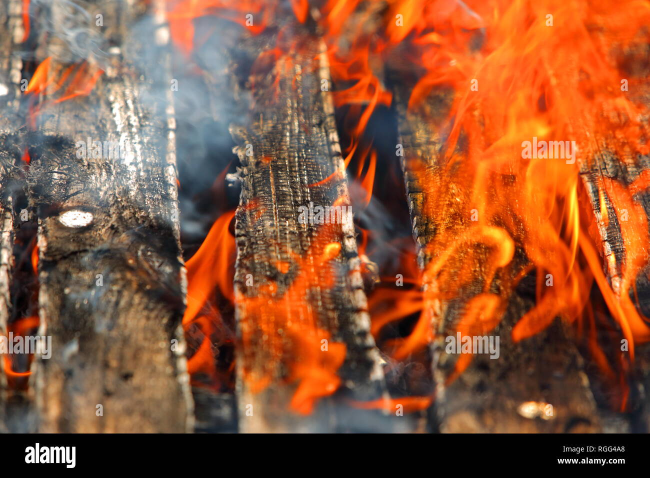 Fire is a phenomenon of nature that turns all flammable materials into ...