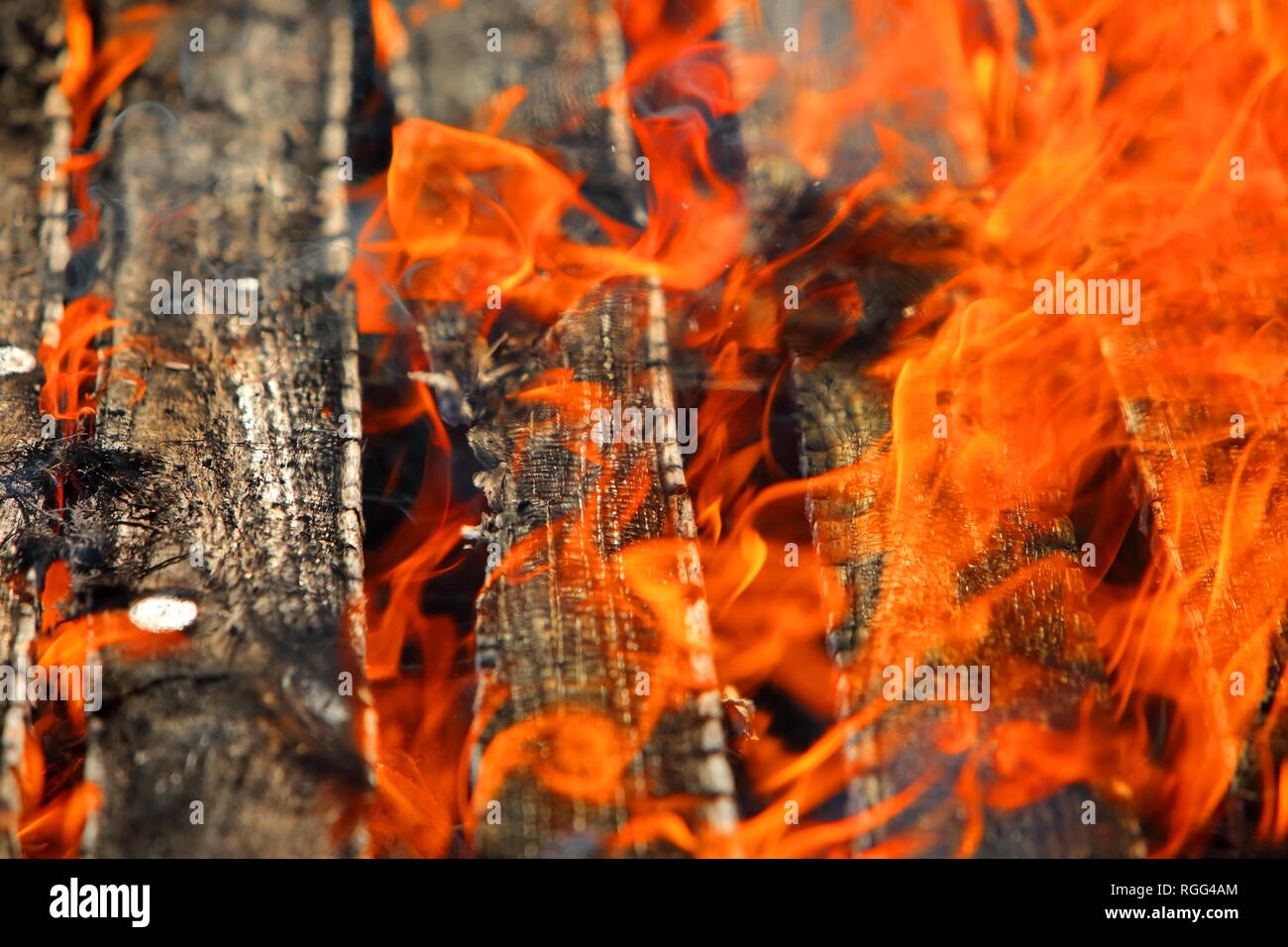 Fire is a phenomenon of nature that turns all flammable materials into ...