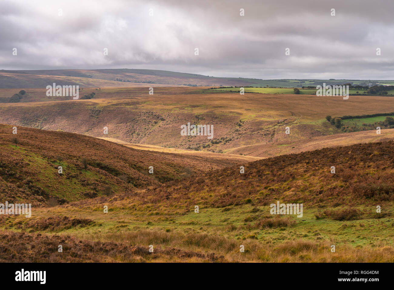 Simonsbath hi-res stock photography and images - Alamy