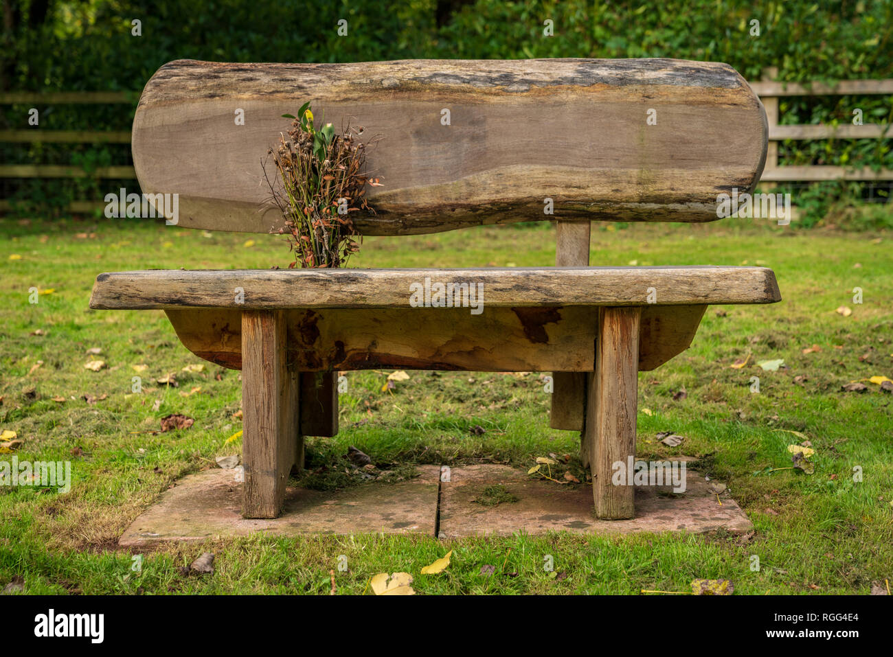 A wooden bench with withered flowers, seen in Brendon, Devon, England ...