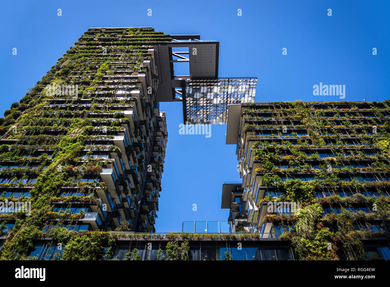 Urban Renewal Project