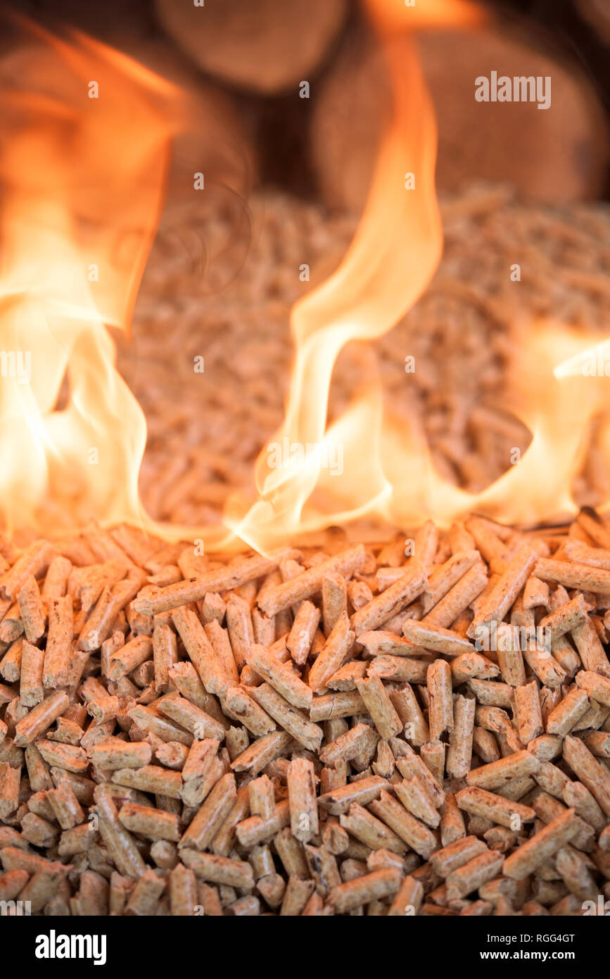 Burning oak pellets - wooden biomass in flame Stock Photo - Alamy