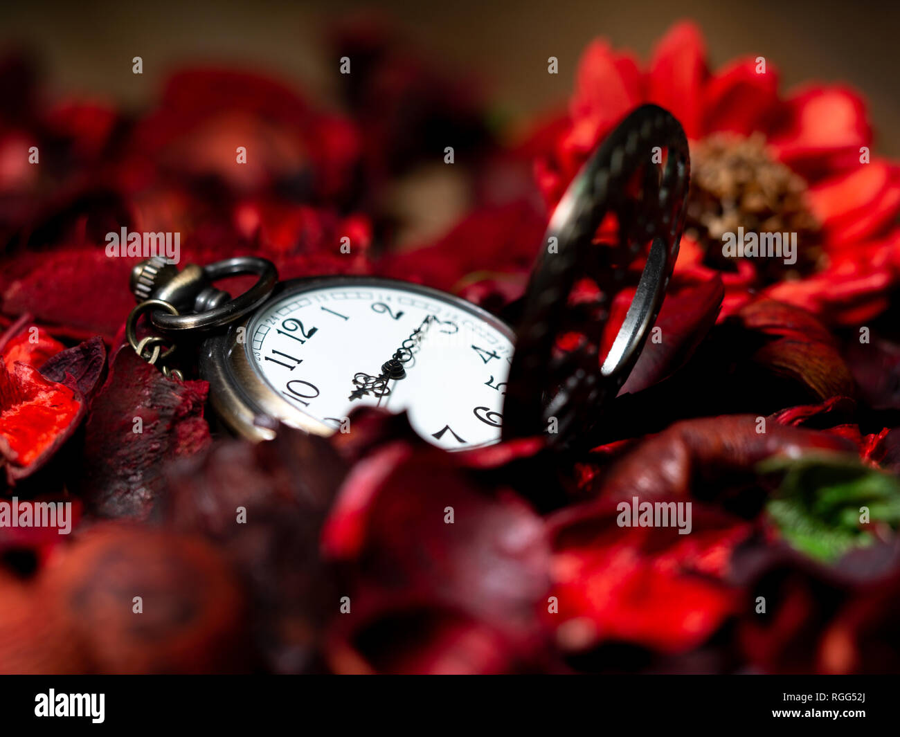 Flower still life with a watch hi-res stock photography and images - Alamy