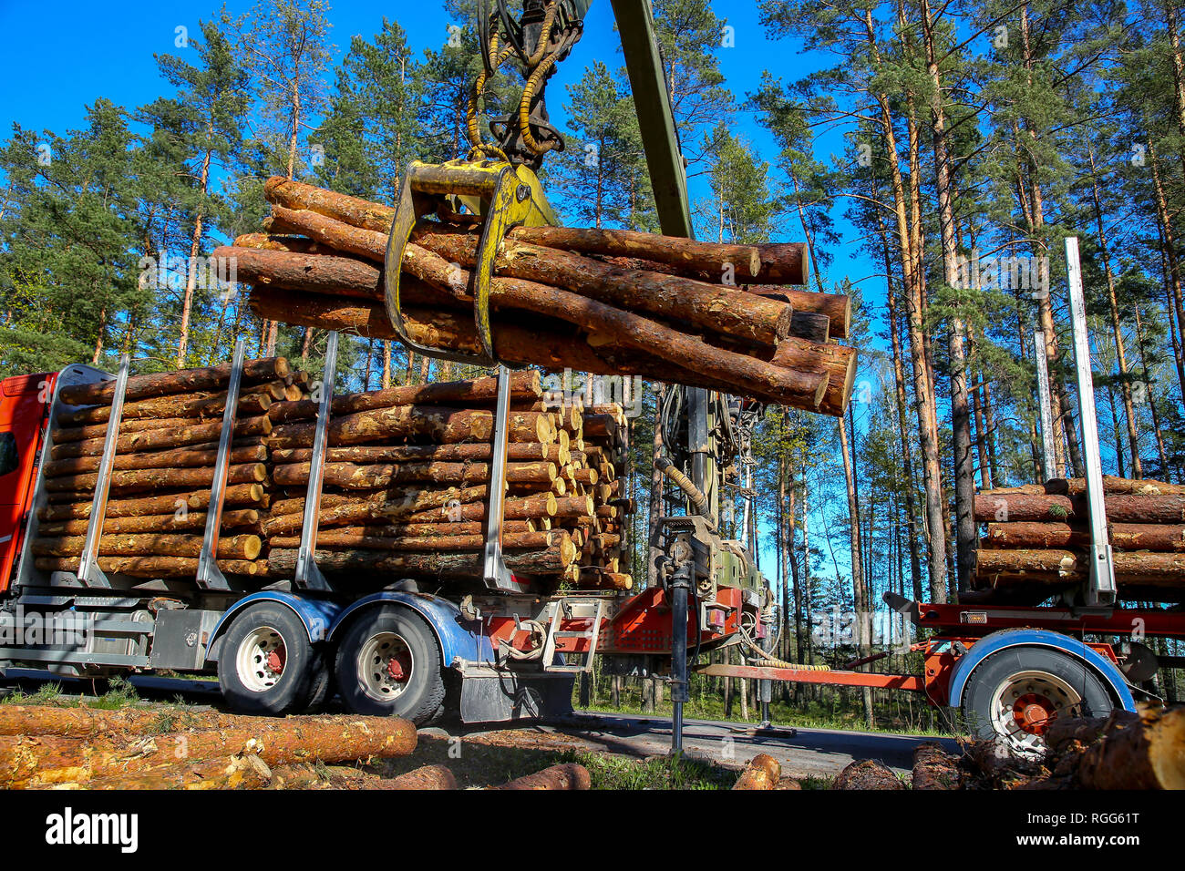 Crane in forest loading logs in the truck. Timber harvesting and ...