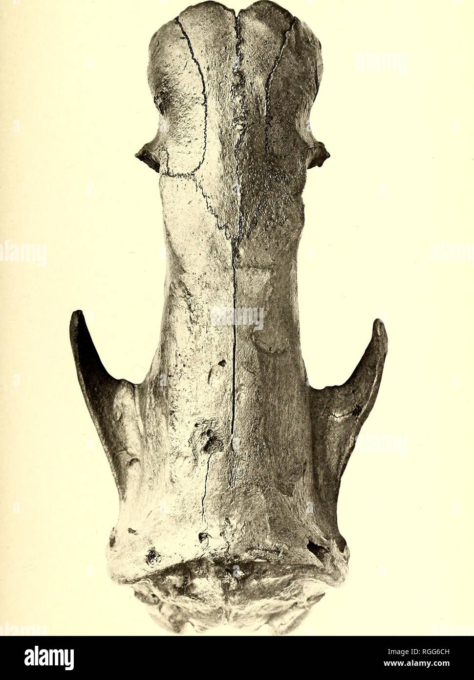 . Bulletin of the Department of Geology. Geology. UNIV. CALIF. PUBL ...