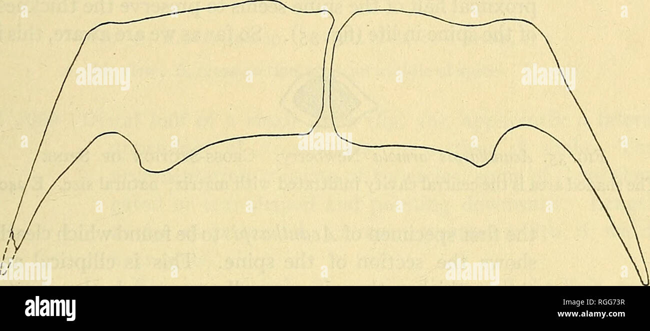 . Bulletin of the Buffalo Society of Natural Sciences. Natural history ...