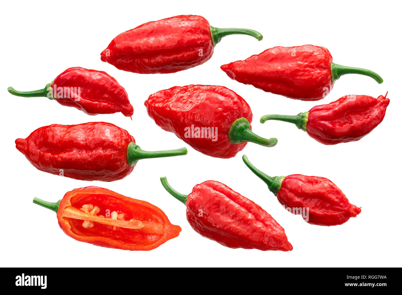 Dorset Naga or Naga Morich peppers (Capsicum chinense x C. frutescens ...