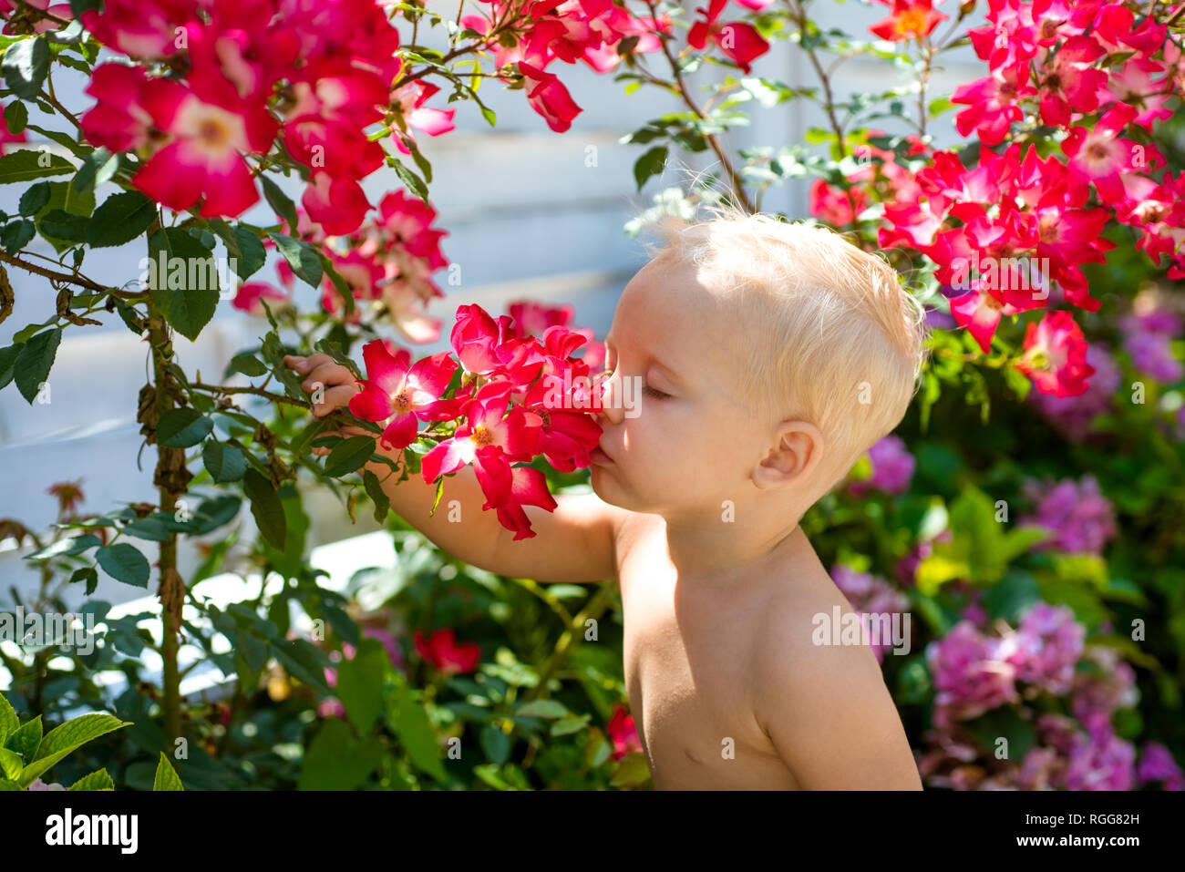 Spring flowers. Childhood. Childrens day. Small baby boy. New life ...