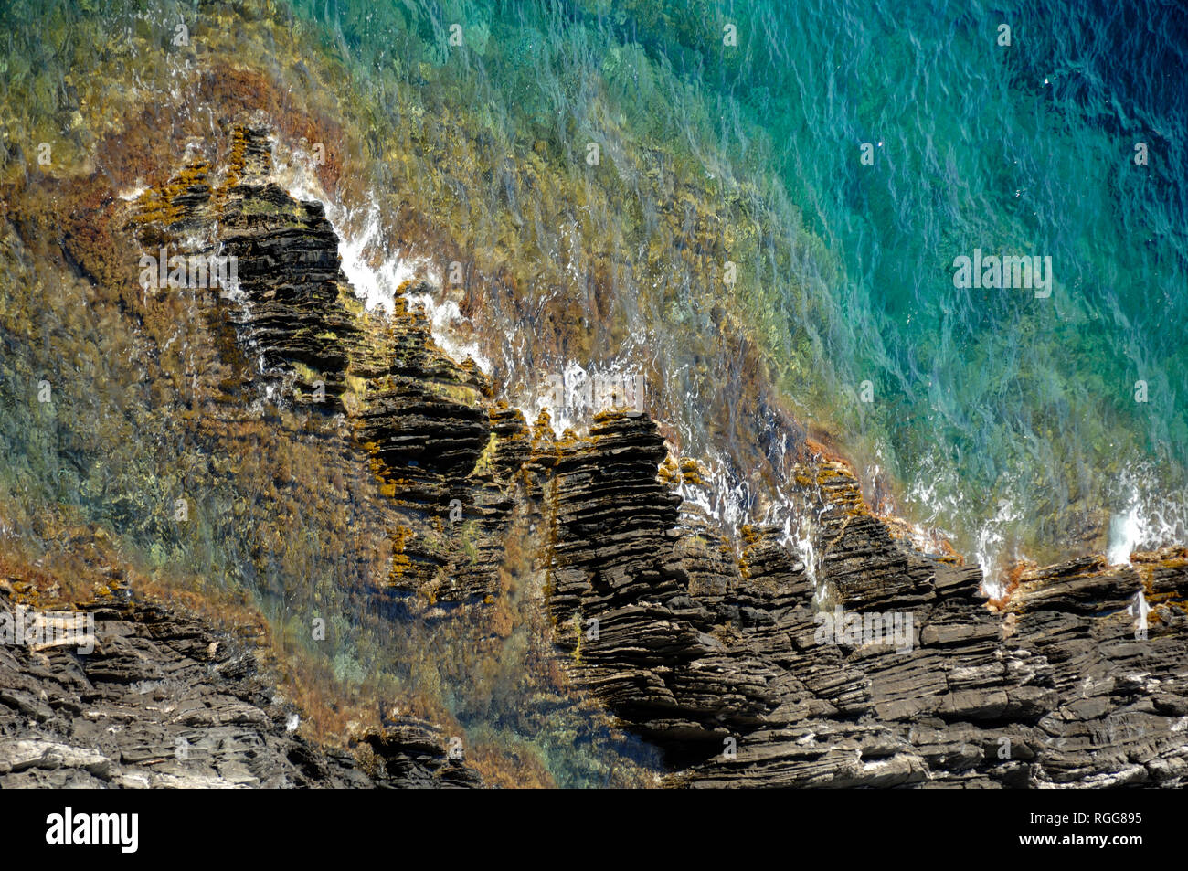 Rocks & Seashore Patterns Along the Mediterranean Coast on Port-Cros or ...