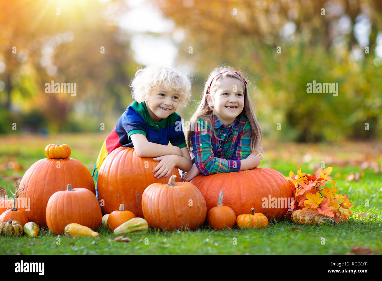 Group of little children enjoying harvest festival celebration at ...