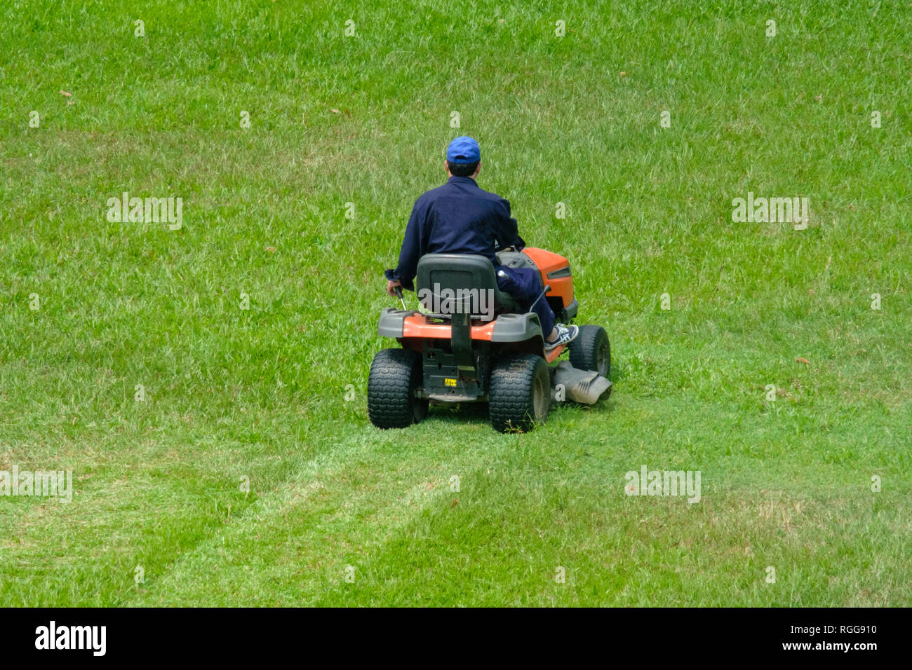 High angle rear view of a person mowing the lawn and cutting the grass ...