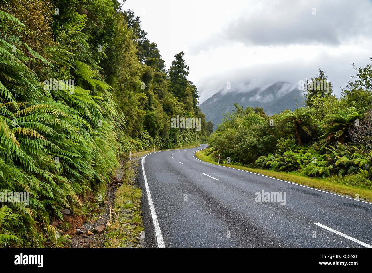 Tai forest national park hi-res stock photography and images - Alamy