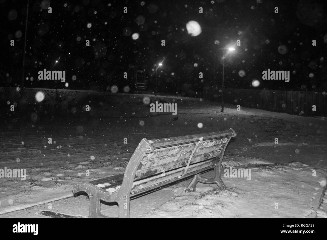 Snowfall at night covering the floor around a park bench Stock Photo ...