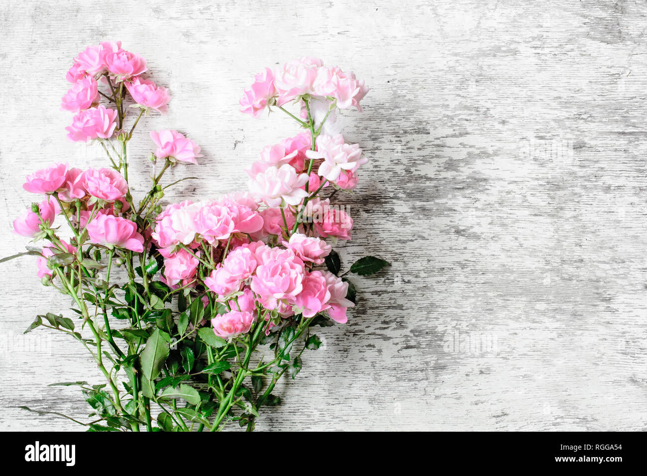 pink rose flowers bouquet on white rustic wooden background for ...