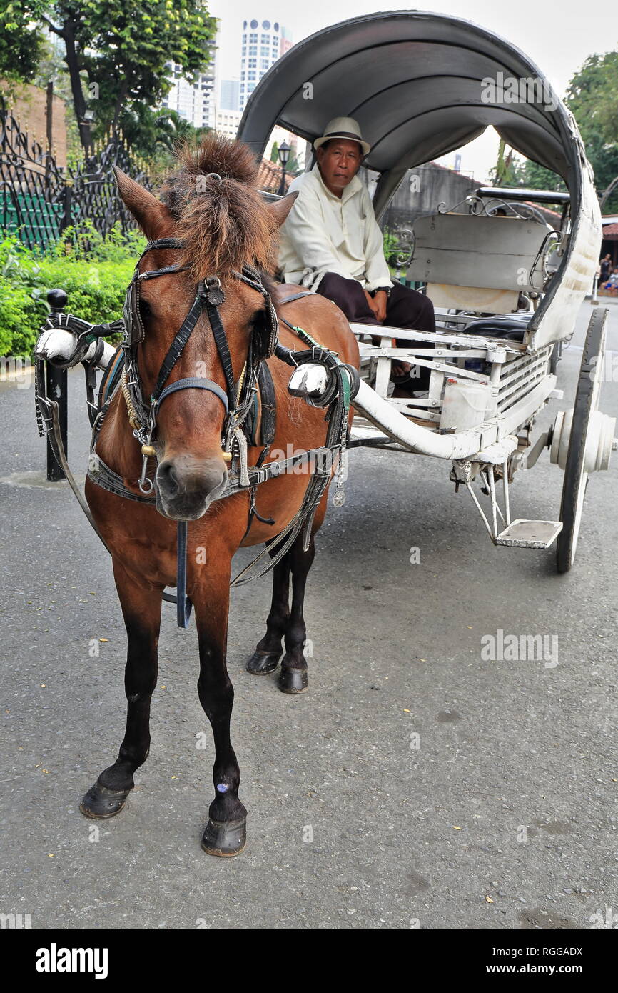 Kutsero hi-res stock photography and images - Alamy