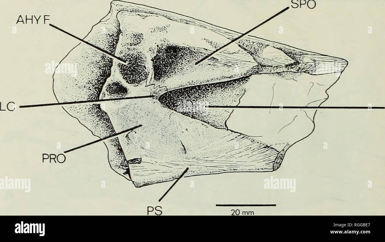Museum lates hi-res stock photography and images - Alamy