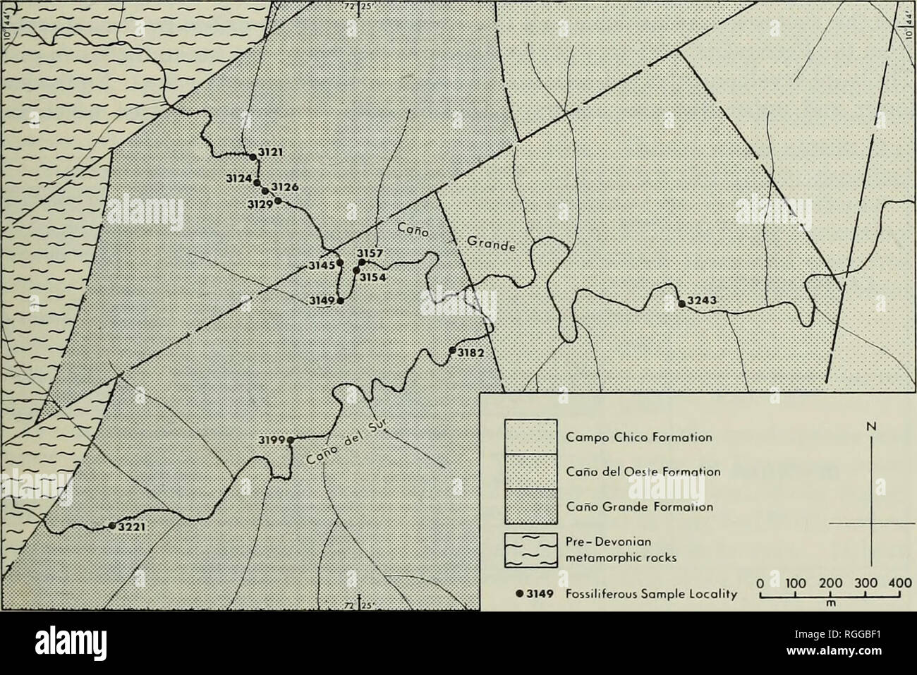 Heliophyllum Stock Photos & Heliophyllum Stock Images - Alamy