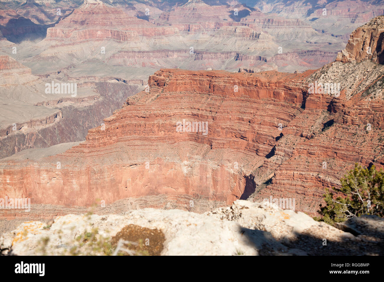 view of the Grand Canyon from Pima Point Pima is the final point along ...