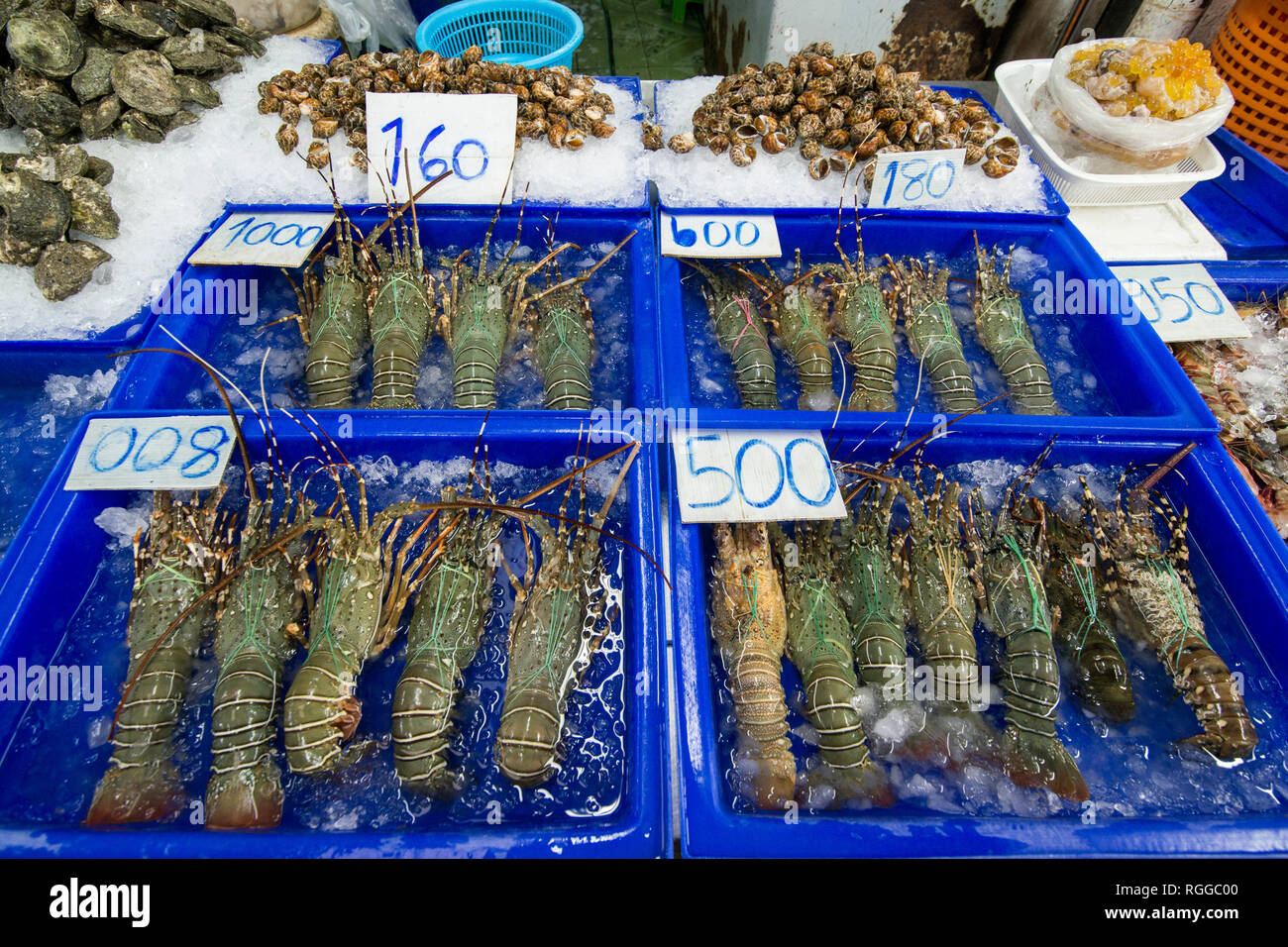 fresh lobster at the seafood and fish market at the Naklua Fish Market ...