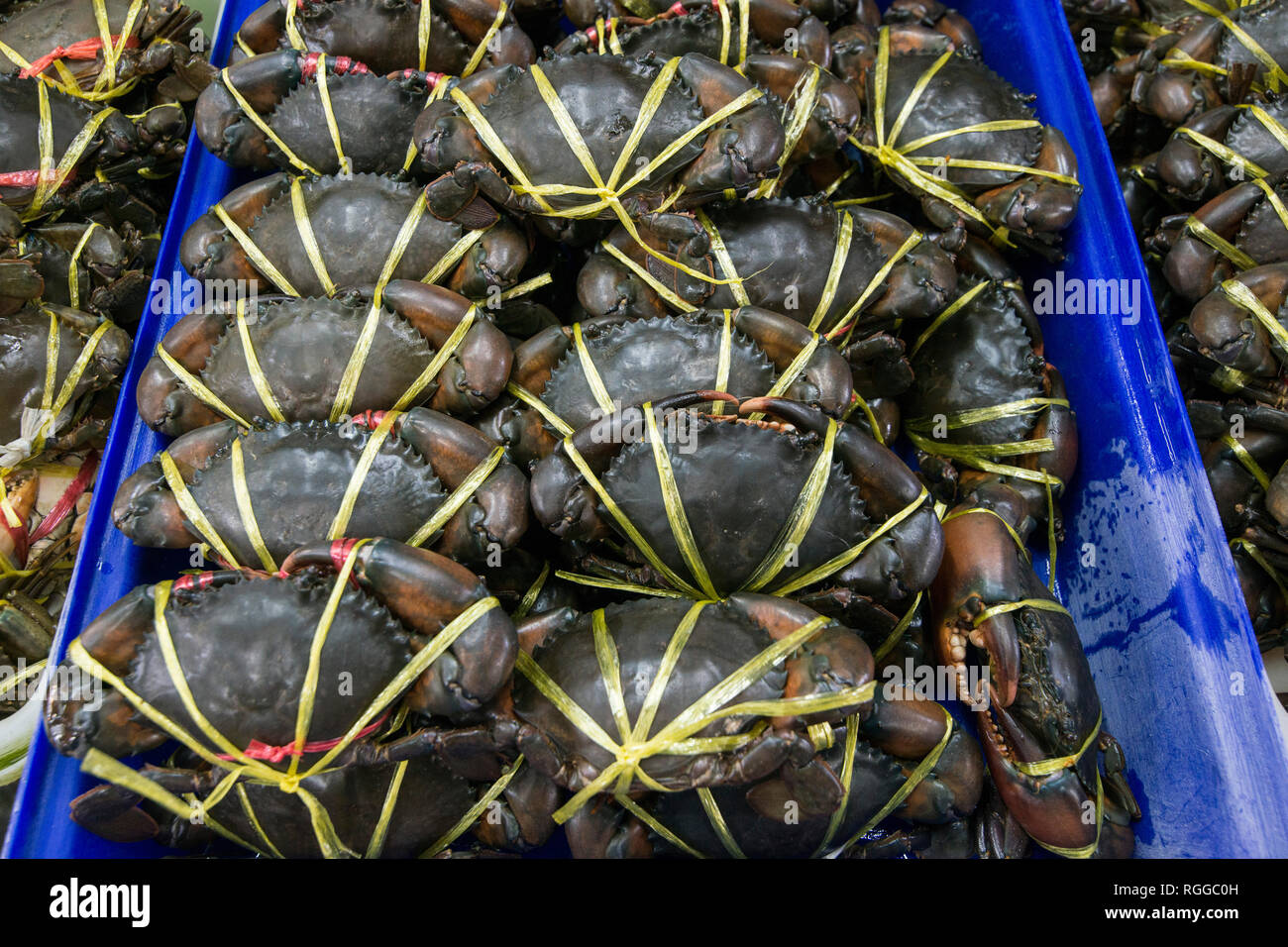 Naklus market hi-res stock photography and images - Alamy