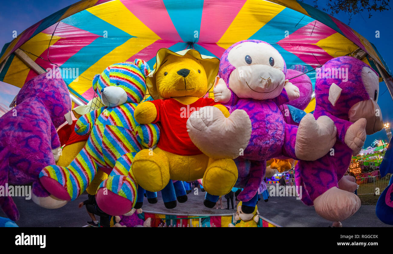 Night at the Manatee County Fair at the Manatee County Fairgrounds in ...