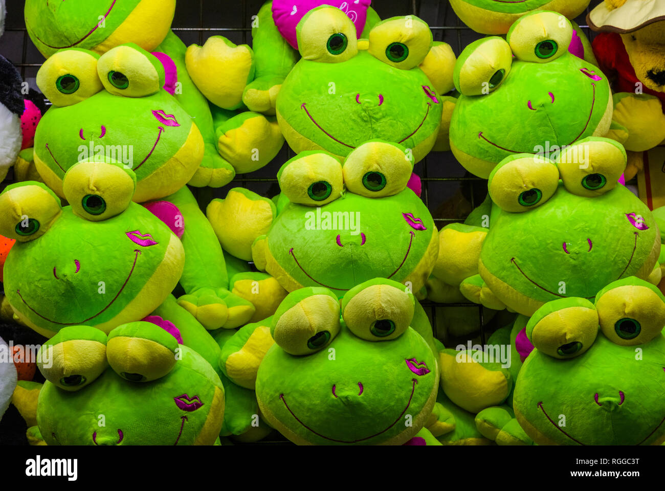Night at the Manatee County Fair at the Manatee County Fairgrounds in ...