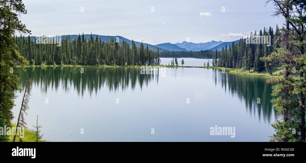 Jarvis Lake inlet and pathway with the Rocky Mountains beyond: A high ...