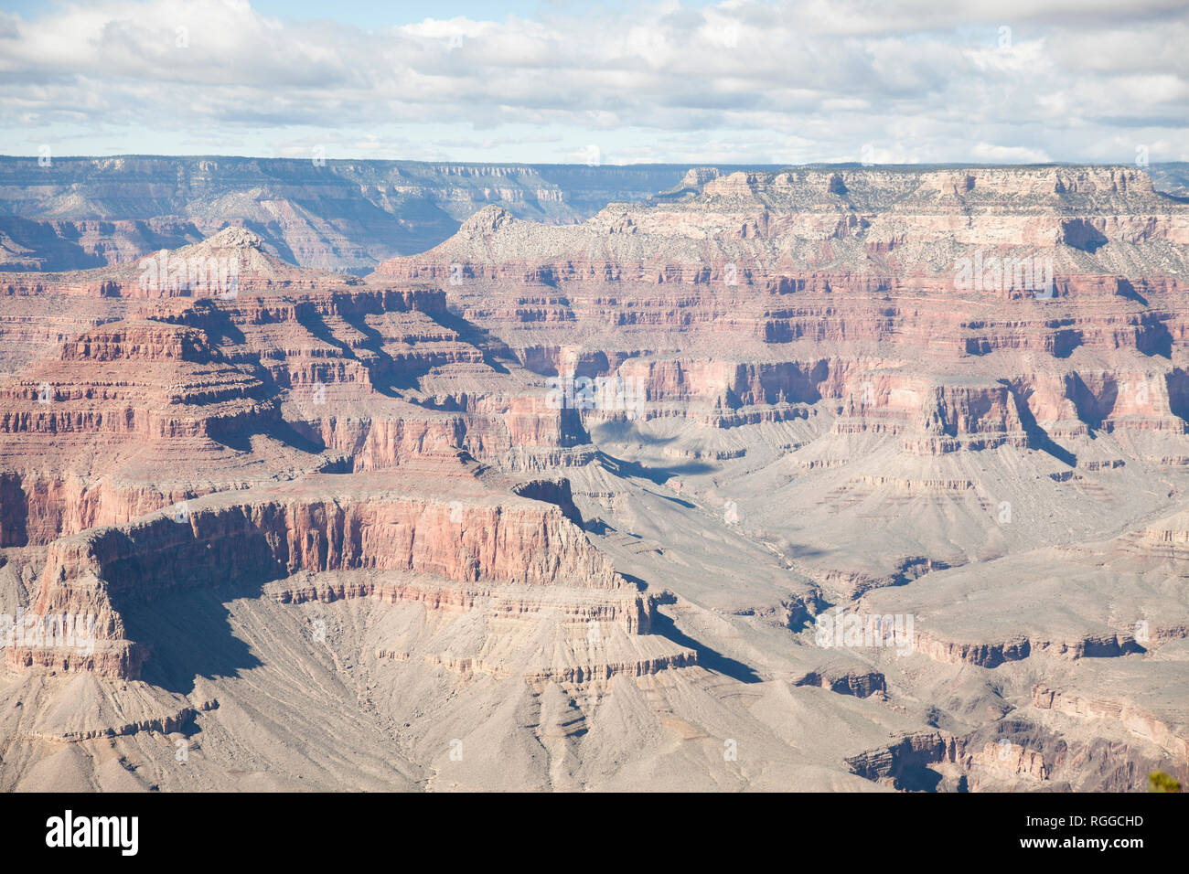 view of the Grand Canyon from The Abyss lookout Stock Photo - Alamy